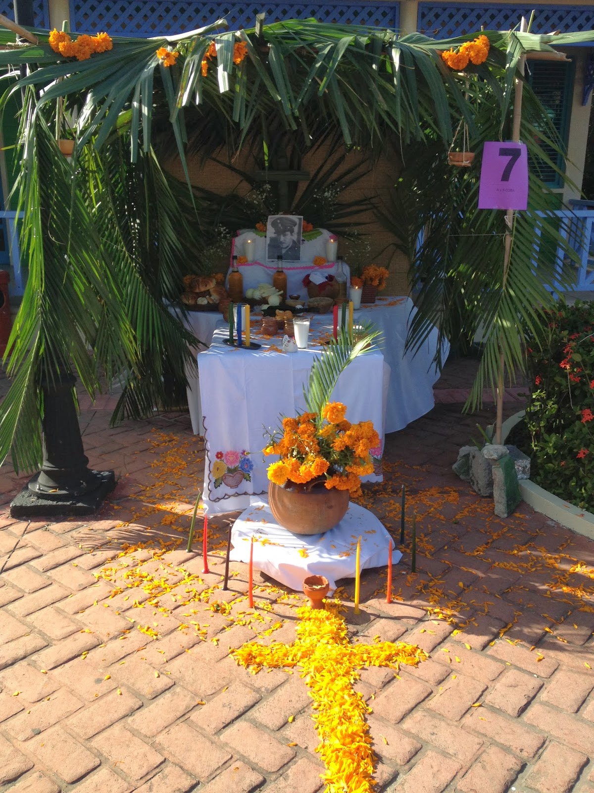 IMG_9891 | Vacaciones en la playa