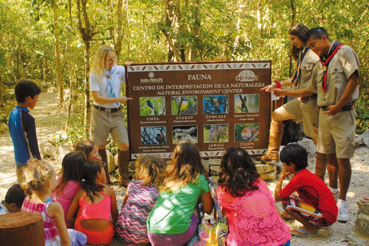 What is ecotourism and how can I care for the planet?