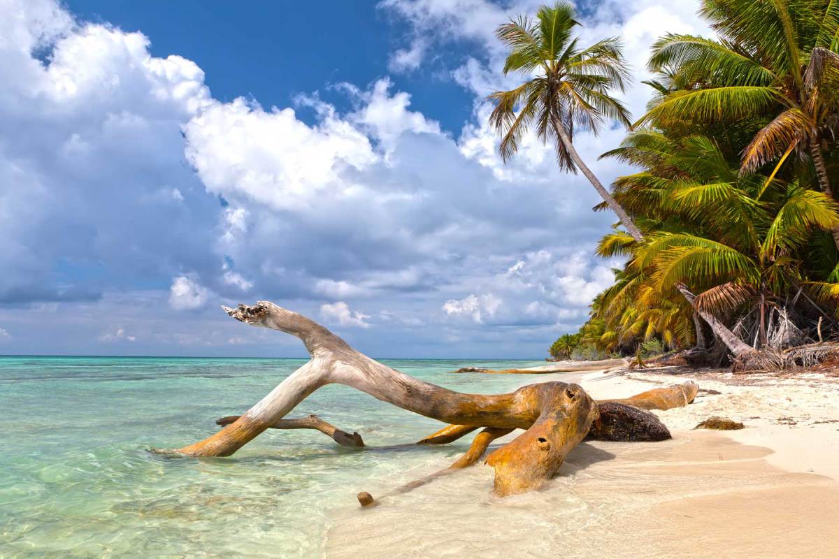 Visit the exotic Saona Island in Dominican Republic and be amazed ...