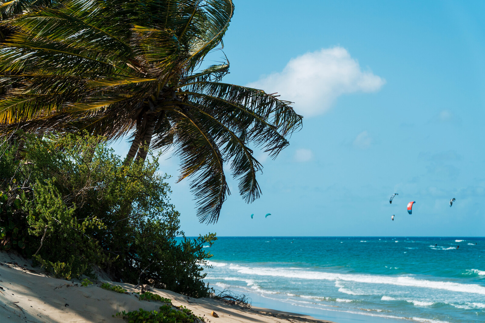 Playa Cabarete: Windsurf en República Dominicana