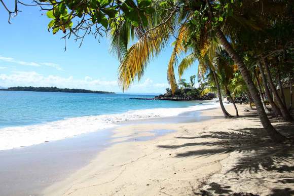 Discover the Best-Kept Secrets of Samaná!