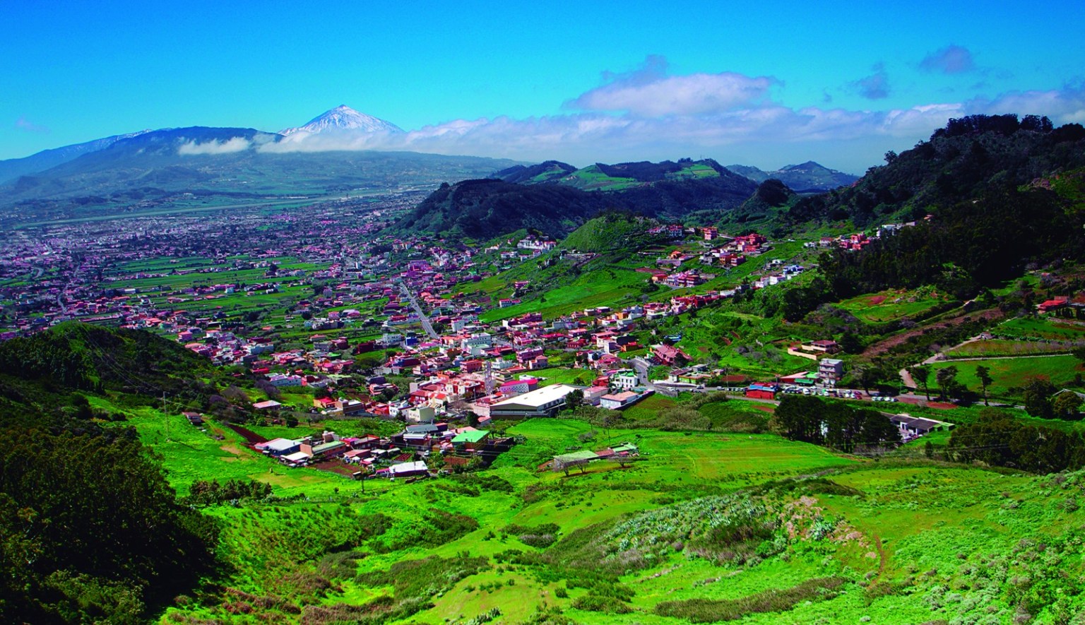 The Guanches: An Enigma in the History of Tenerife